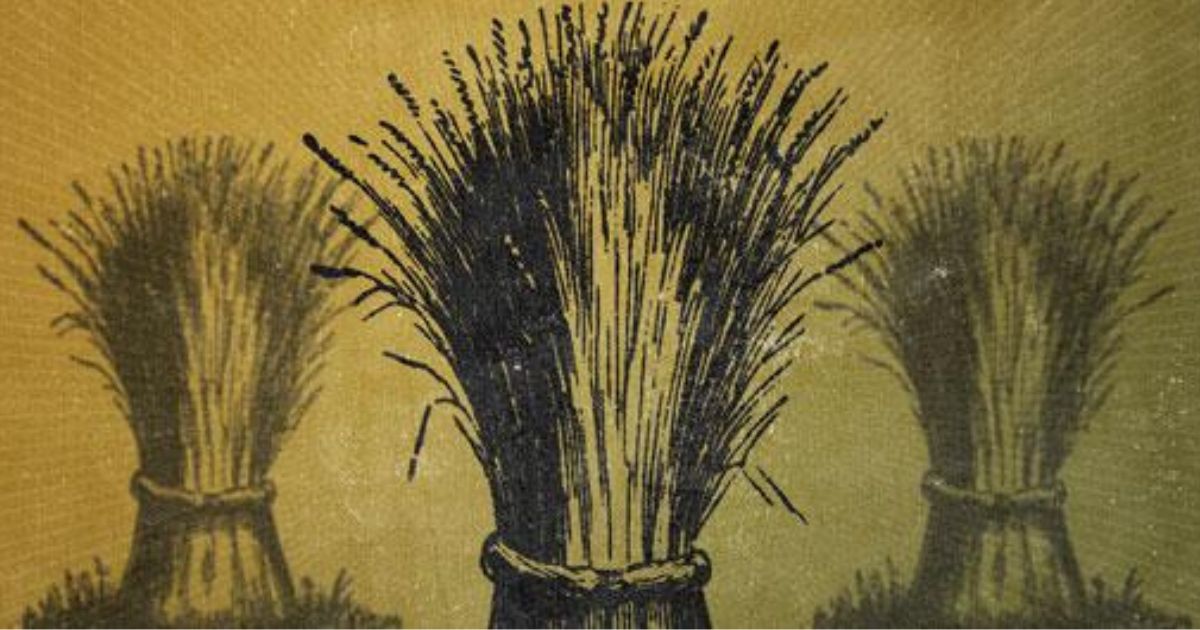 Das Buch Ruth: Mehr als nur eine Liebesgeschichte - Ligonier Deutsch